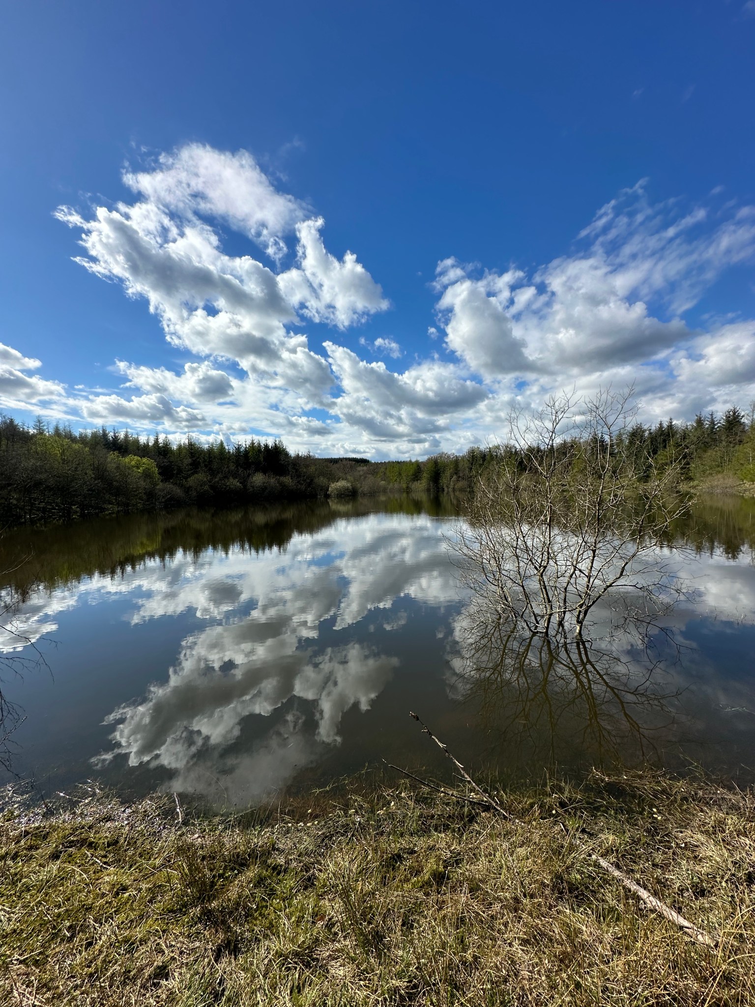 Central Sun Club – Central Scotland's naturist club.